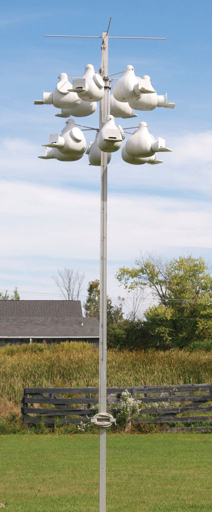 Purple Martin House Gourds
